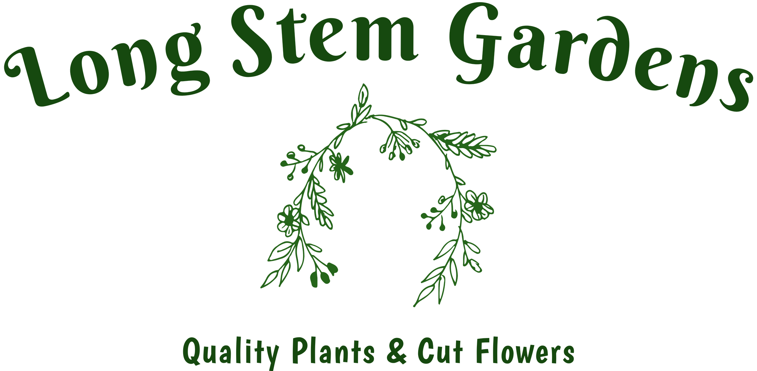 Current Availability Long Stem Gardens current-availability-long-stem-gardens