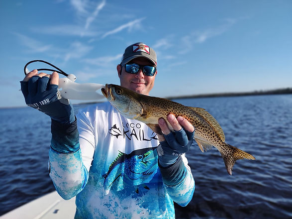 Species | Salty Sarge Fishing