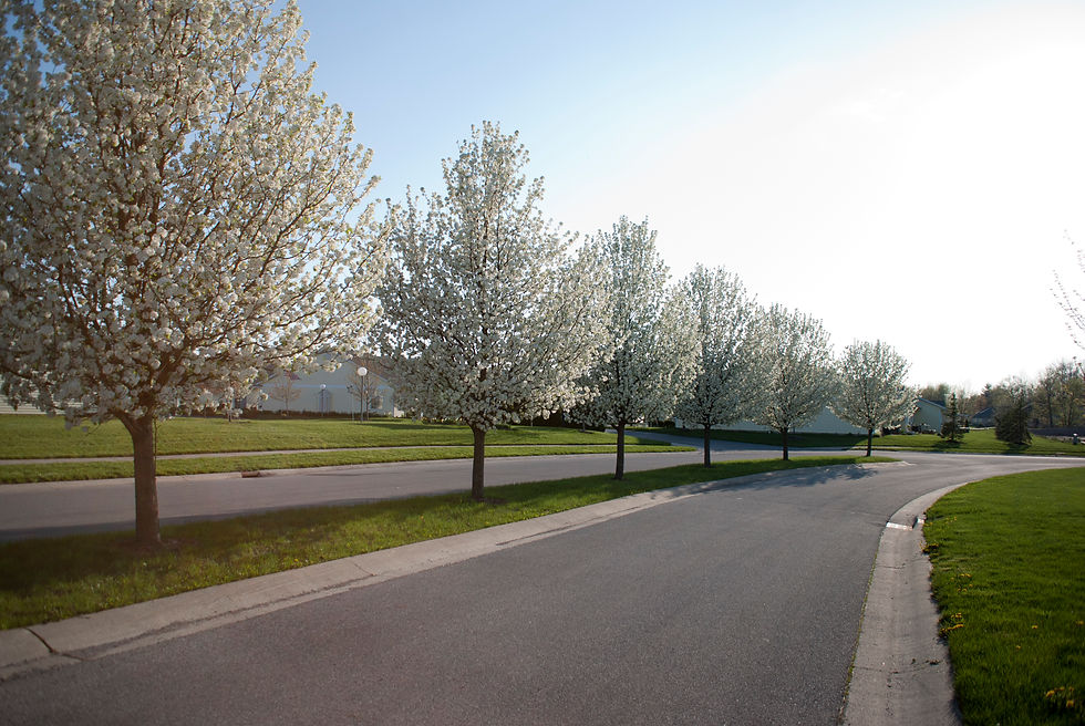 Yellow Retirement | Senior Apartments Indiana | Tour