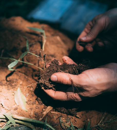 Home | Finca La Bella