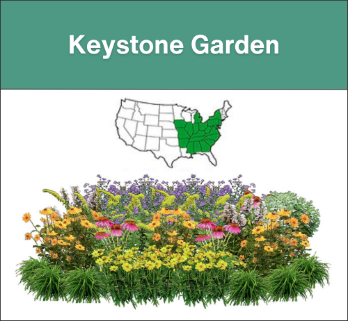 HNP Eastern Temperate Keystone Garden | Ecoplantia