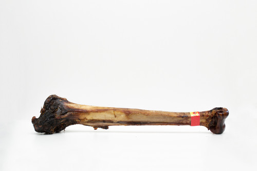 Cave Man Bone | All About Ostrich