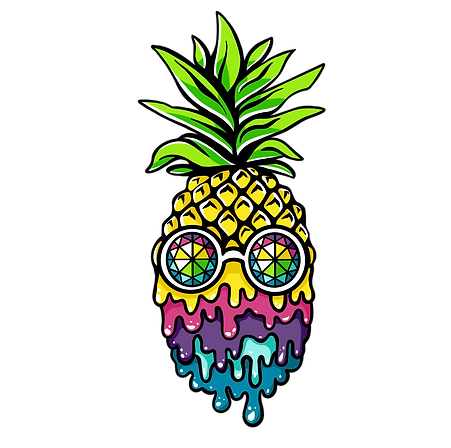 About Us | Party Pineapple Productions