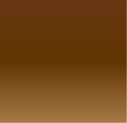 Brown Metallic 410 | Model Paint Company