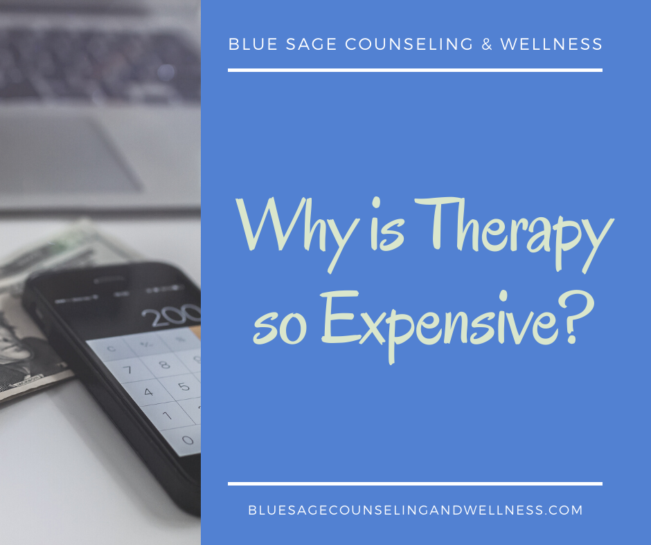 Why is Therapy so Expensive?