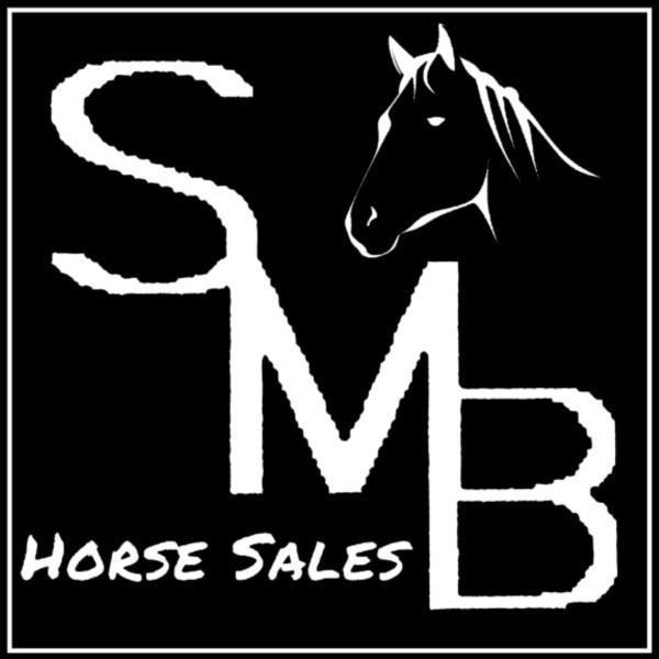 SMB Horse Sales Hip