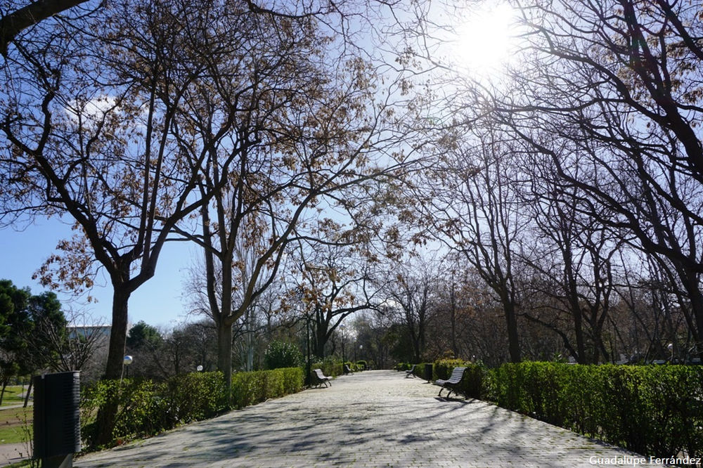El Parque Bruil. Zaragoza.