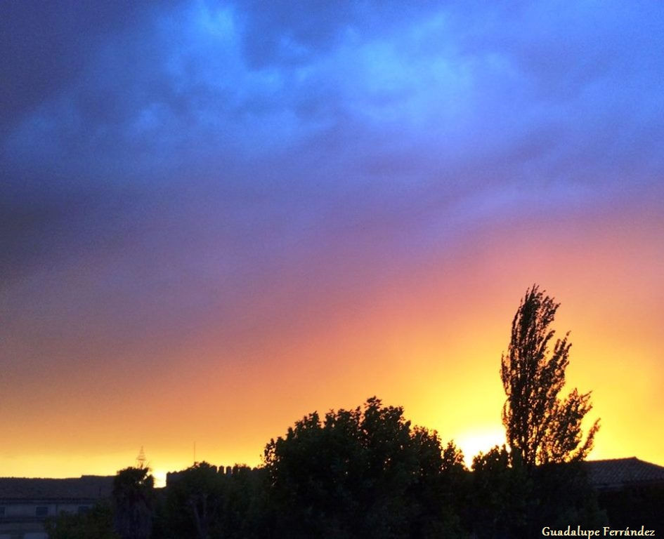 ATARDECERES EN EL JARDÍN ENCANTADO