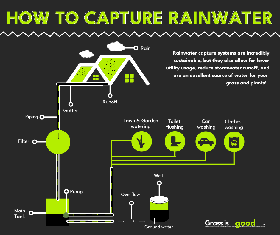 How to Create and Use a Rainwater Capturing System for Your Home