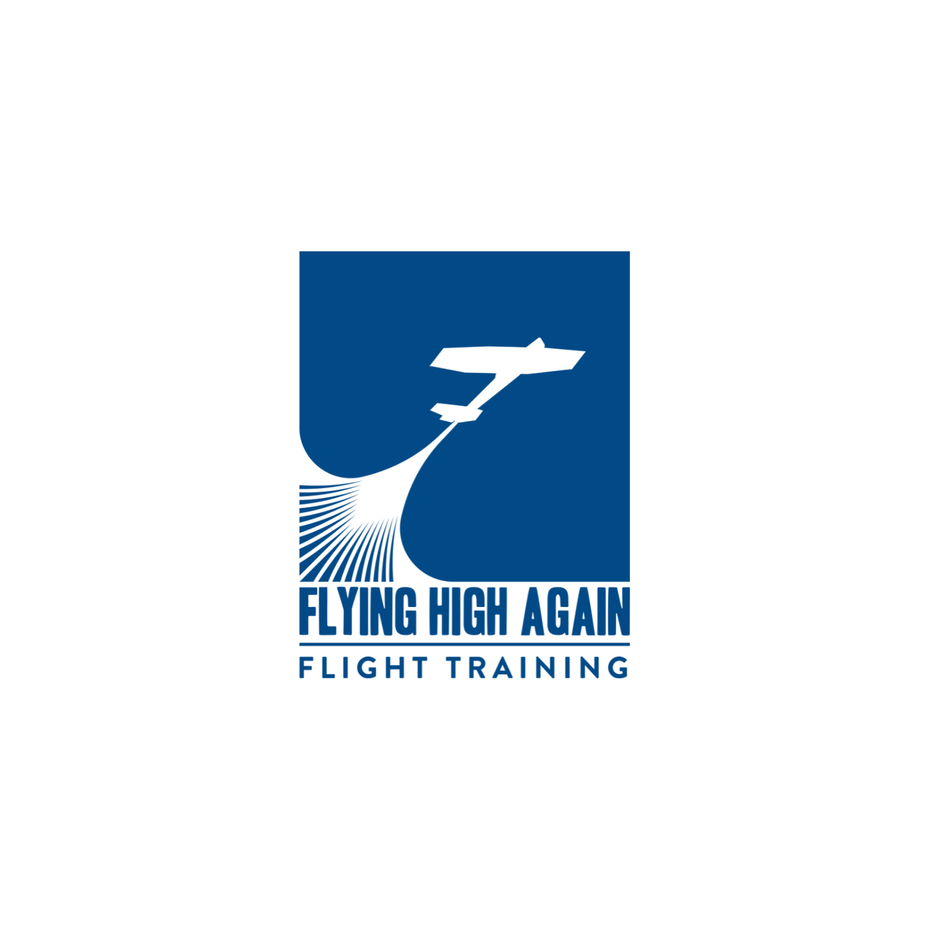 Flying High Again | Flight Training & Courses | Tennessee