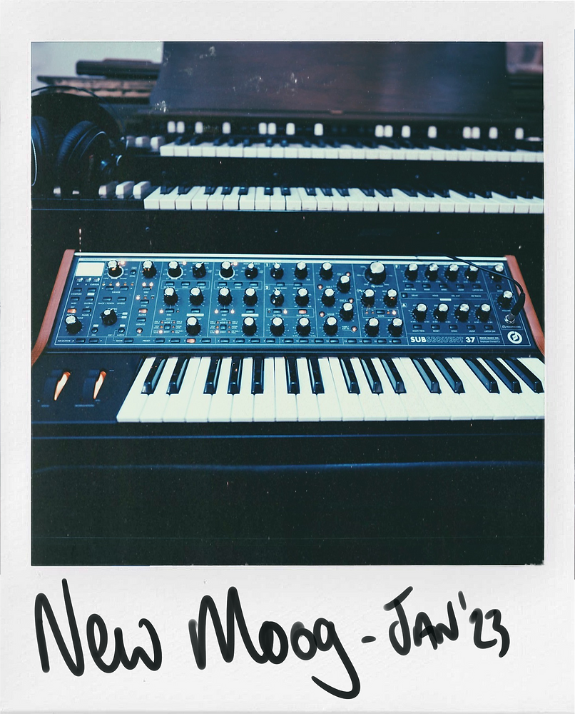 New Moog 🤩