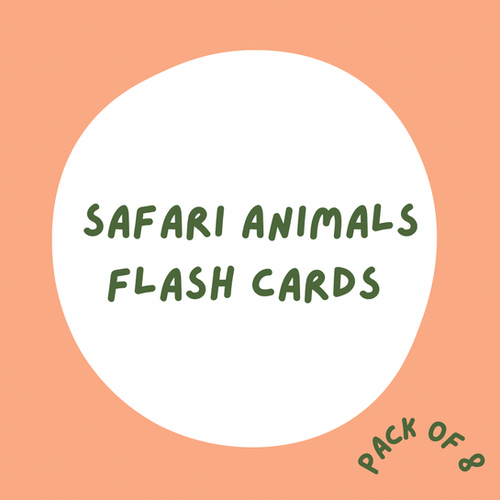 Safari Flashcards | Coloured Bubble