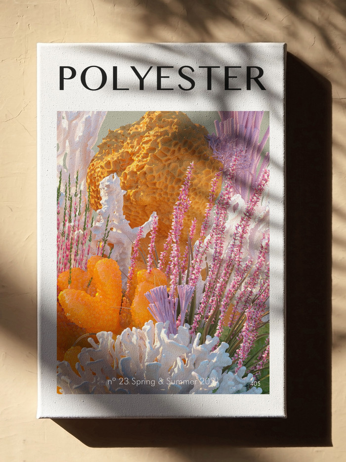 Polyester Magazine | Aesthetic Concept