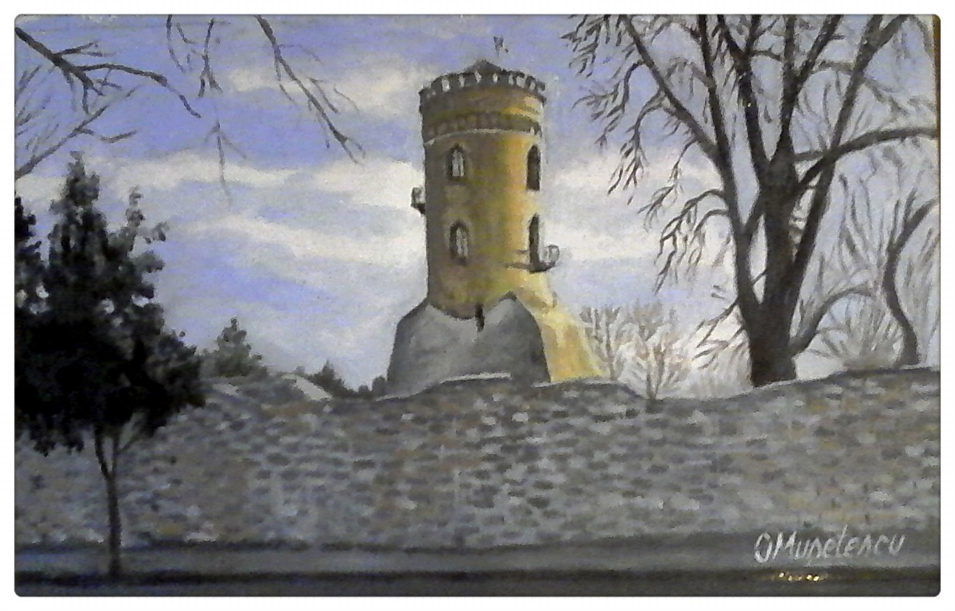 Portrete color | pictor-grafician