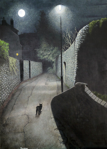 Cat's Eyes Print by Peter Messer | thefineartcompany