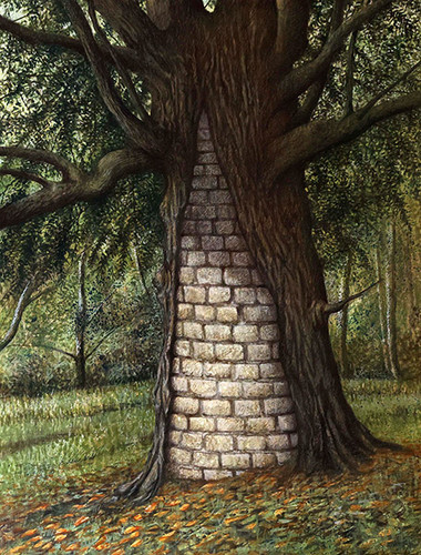 Stopped Tree Print by Peter Messer | thefineartcompany