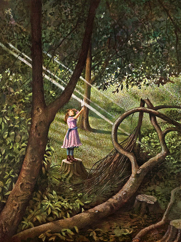 The Cut Print by Peter Messer | thefineartcompany