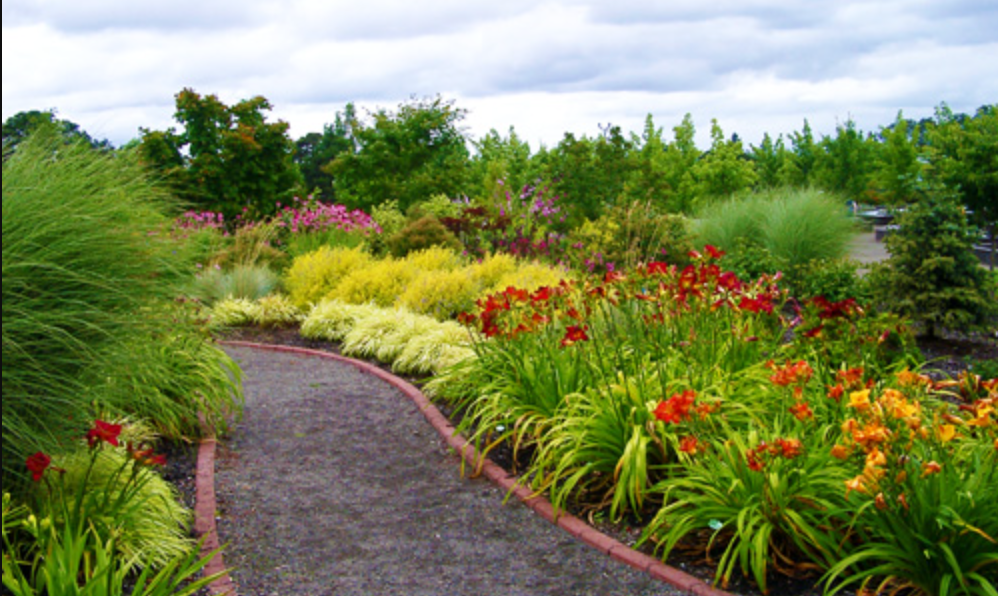 A MATTER OF LANDSCAPING