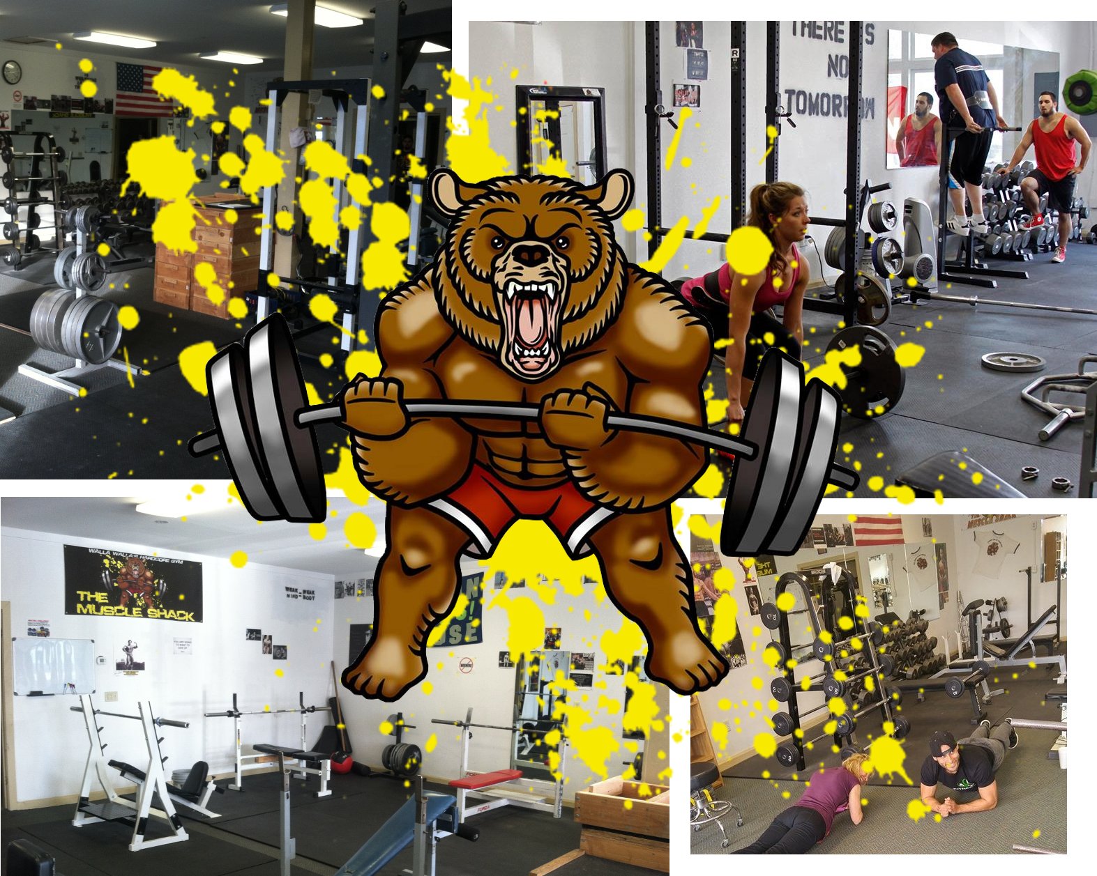 Home | The Muscle Shack