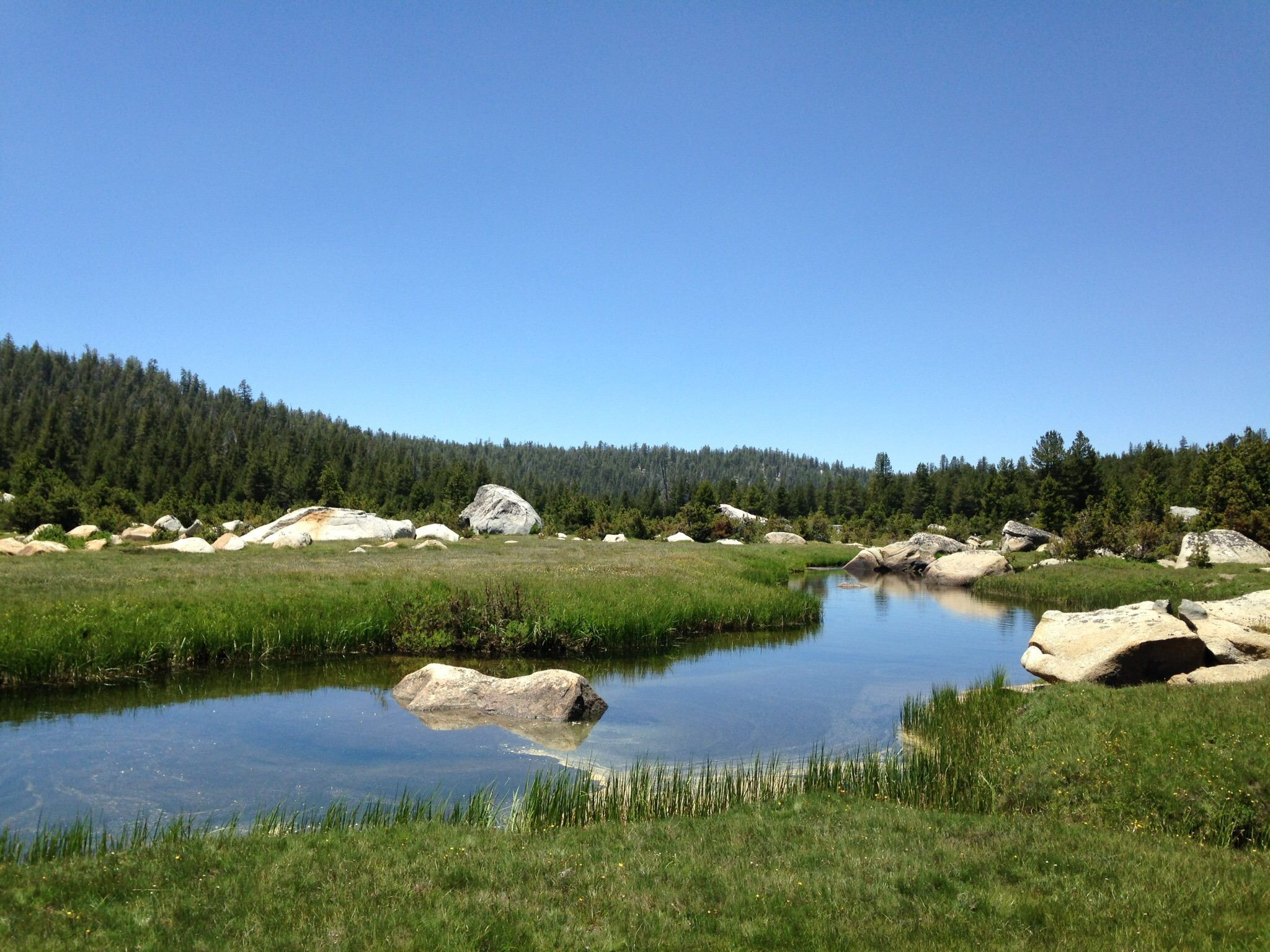 HORSE VACATION TO DINKEY LAKES | D&F Pack Station
