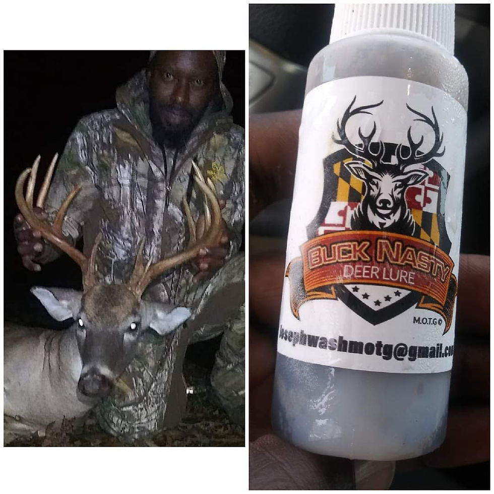 Synthetic buck | Bucknasty deer lure