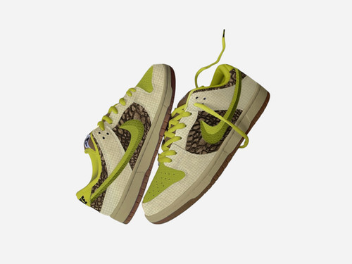 Shrek Custom Nike Dunk | Olympus Montane