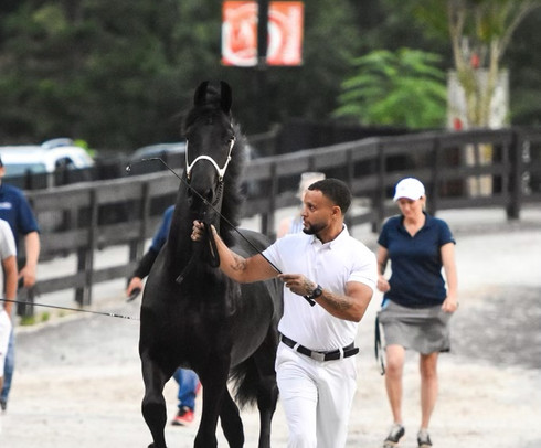 The Pearman Ranch | Home