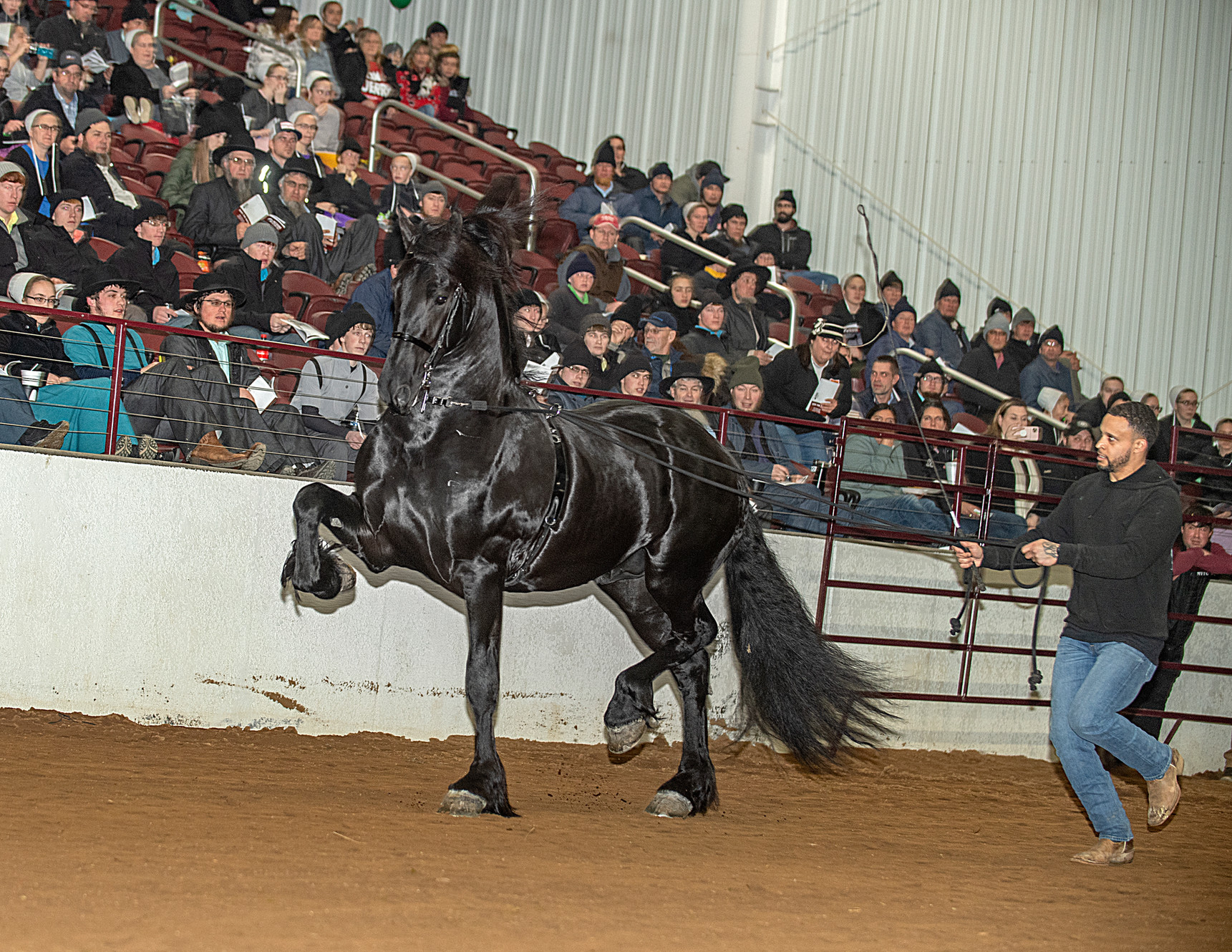 The Pearman Ranch | Home