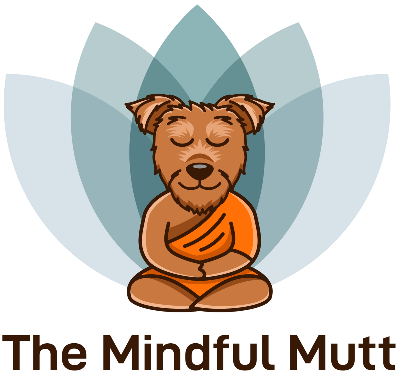 Enriched Dog Daycare, Boarding, and Classes | Boston | The Mindful Mutt Enriched Dog Daycare, Boarding, and Classes | Boston | The Mindful Mutt