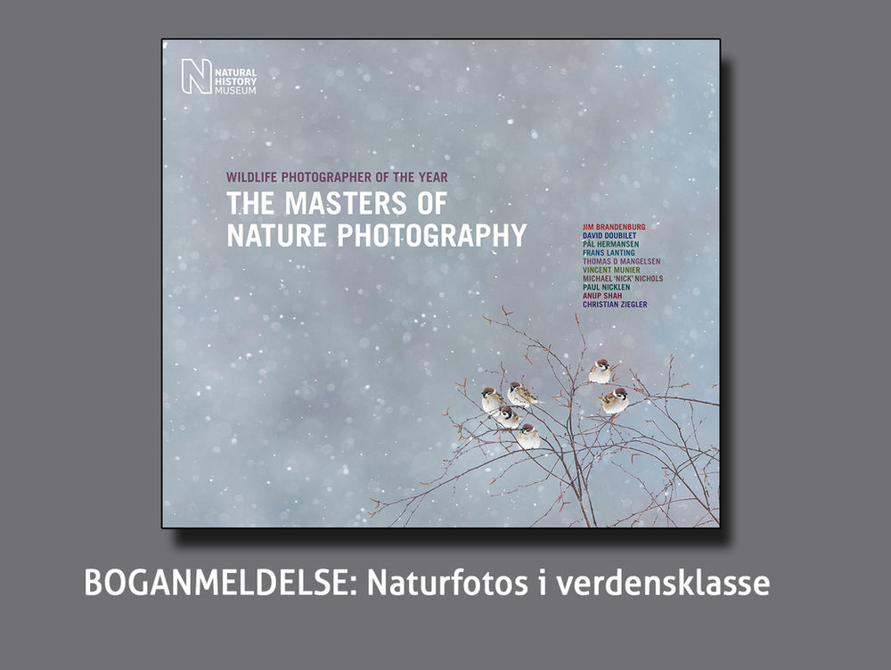 ANMELDELSE: The masters of Nature Photography