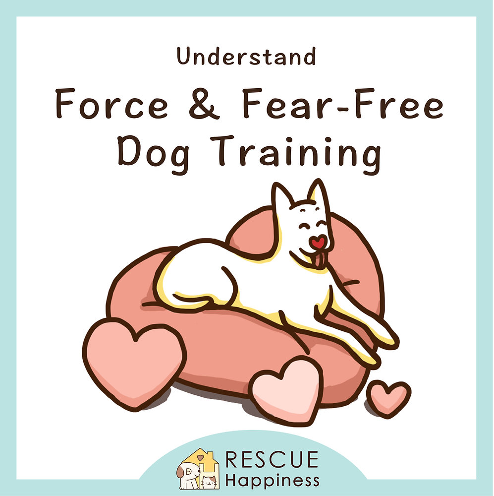 Force & Fear-Free Dog Training