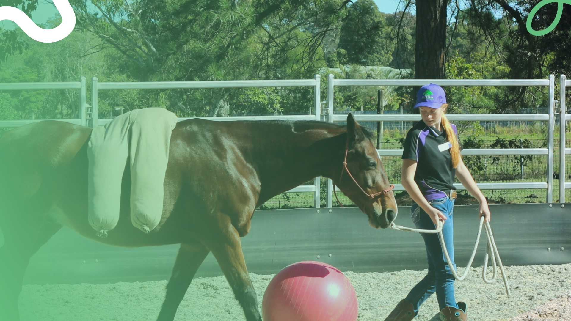 Carbrook Centre Open Day 2024 | Carbrook Centre