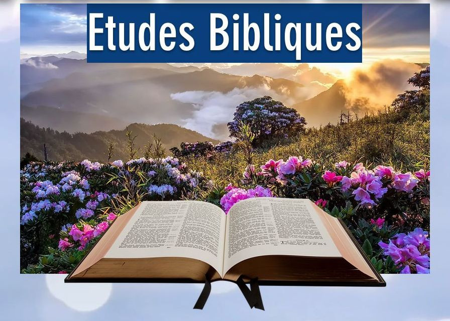 Accueil | Etudesbibliques