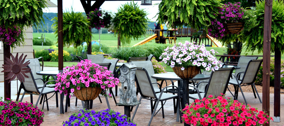 Gallery | Spring Green Motel