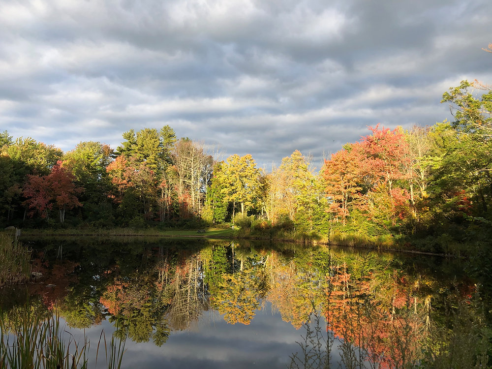 The Flapper Press Poetry Café Welcomes Pat Daneman & Poems That Capture ...