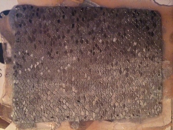 Fish Skin Graft | clairegolbymue