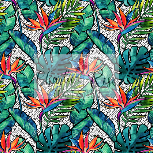 103 Monstera Birds of Paradise | Charlie Rose Studio