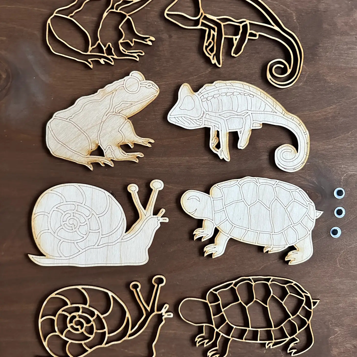 Kids | Charlie Rose Studio