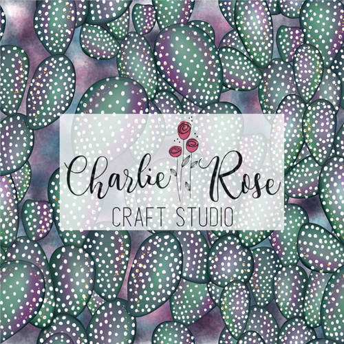 110 Cactus | Charlie Rose Studio