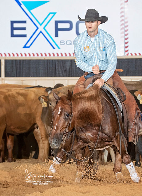 chris johnson equestrian