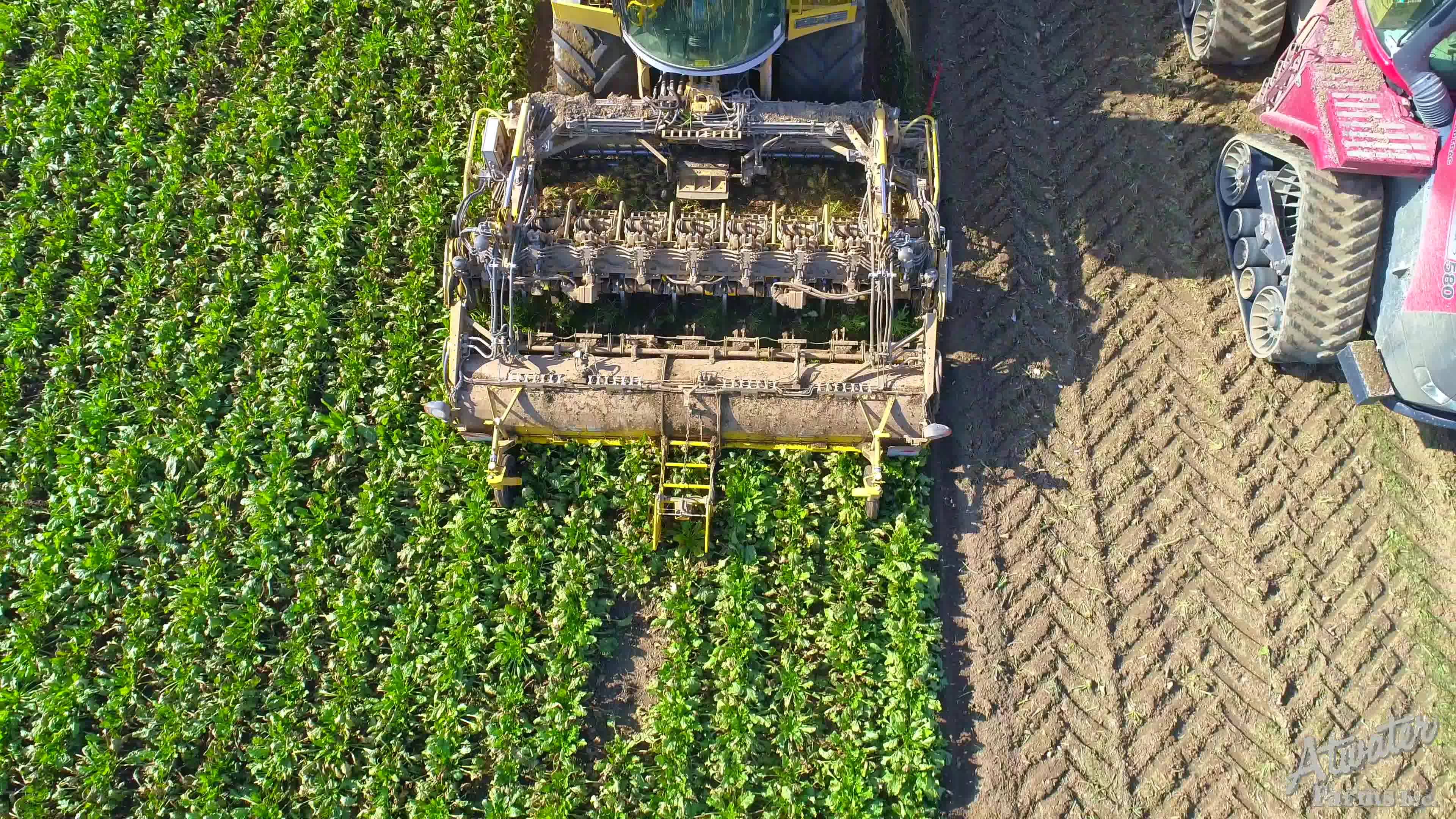 Farm Videos | Atwater Farms Farm Videos | Atwater Farms
