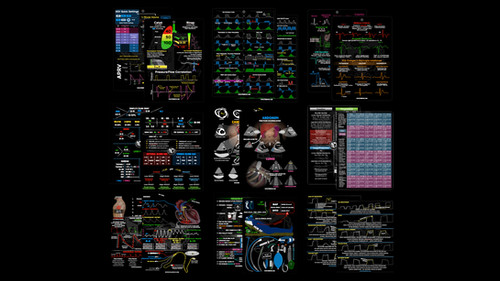 Pocket Guide Nine Pack | FOAMfrat