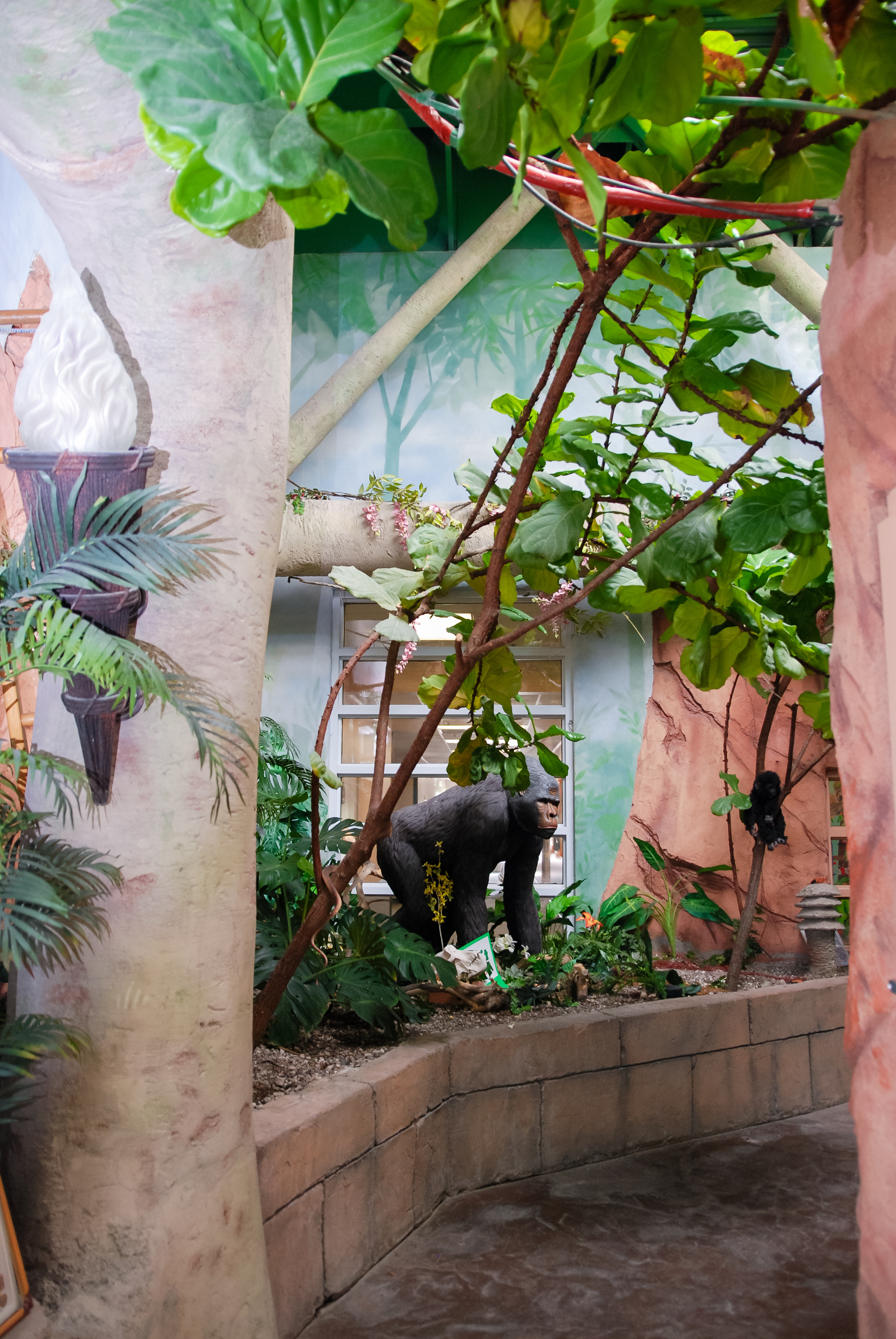 RAINFOREST BIOSPHERE | Vanderburg ES