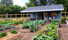 Grow It Forward | Manitowoc