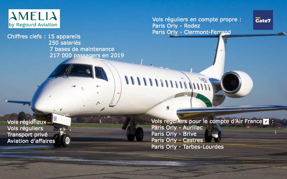Amelia : la compagnie qui s'installe dans le paysage aérien français ...
