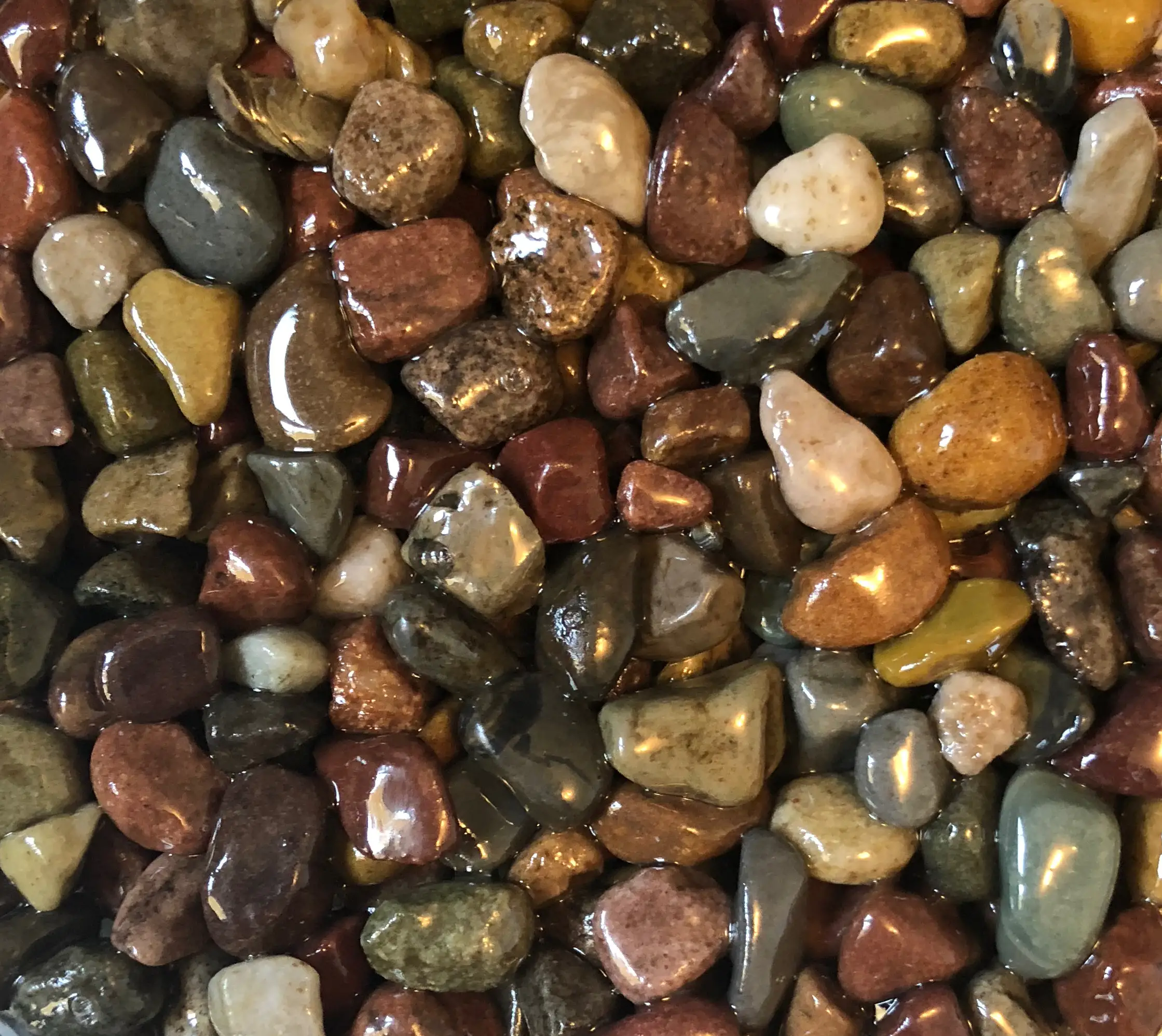 SIERRA STONE | Concrete Coating Exp