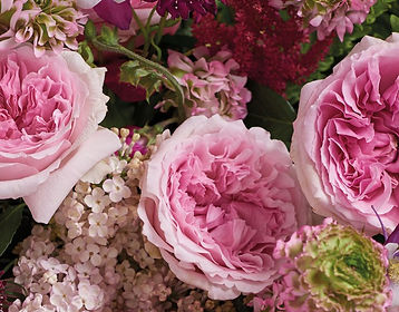 David Austin Wedding Roses / Alexandra Farms