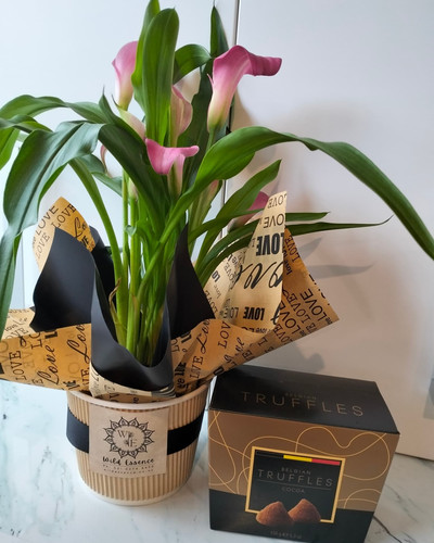 Mini Calla with chocolate combo | Wild Essence