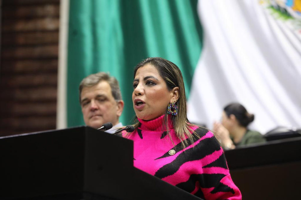 DIPUTADA LORENA PIÑÓN AFIRMA QUE LA REFORMA ELECTORAL DE MORENA SE ...