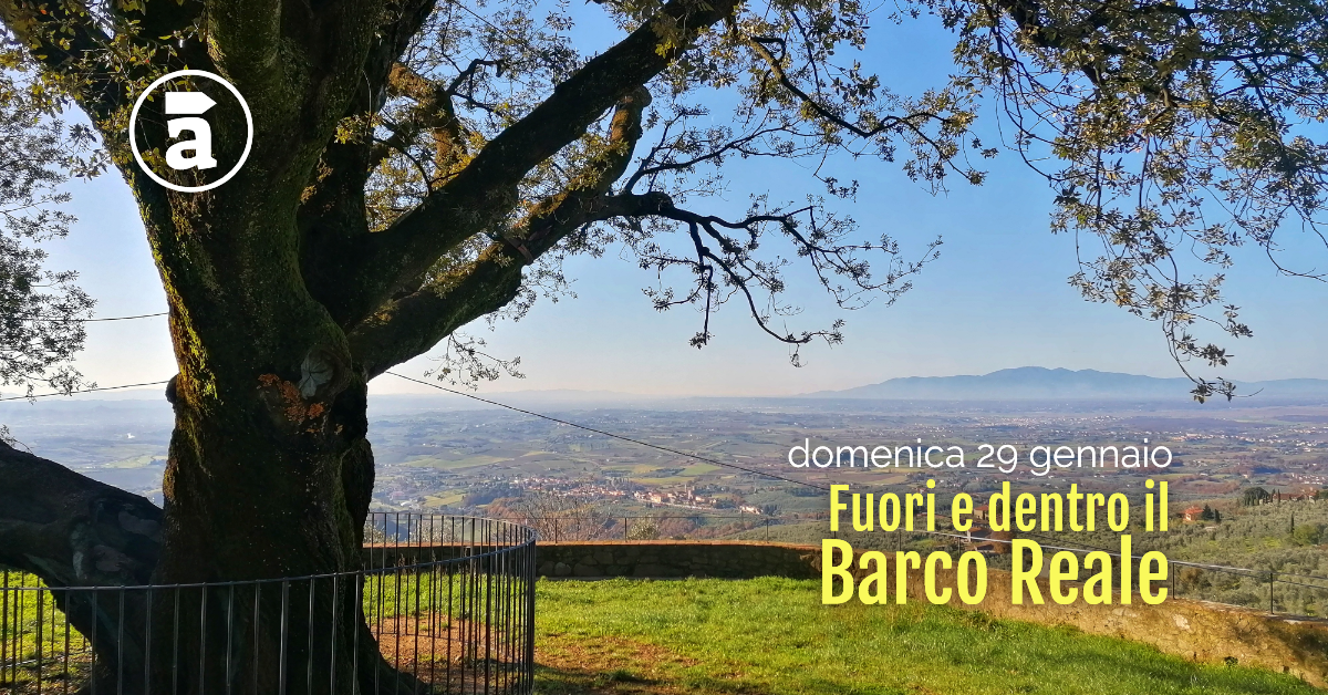 Fuori e dentro il Barco Reale | Escursione guidata - AltreVie